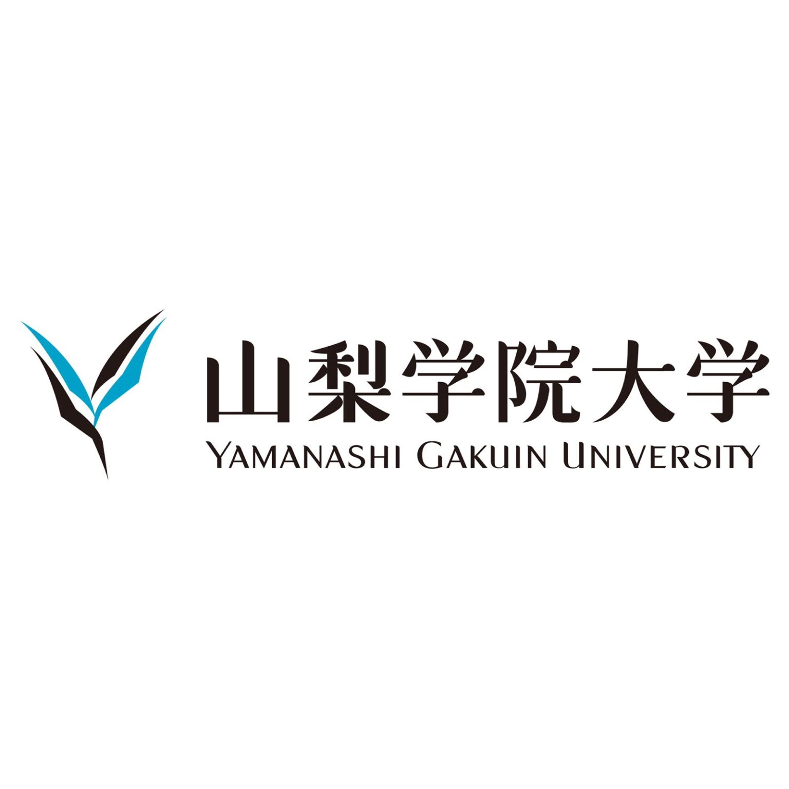 Yamanashi Gakuin University – Gold Star Education